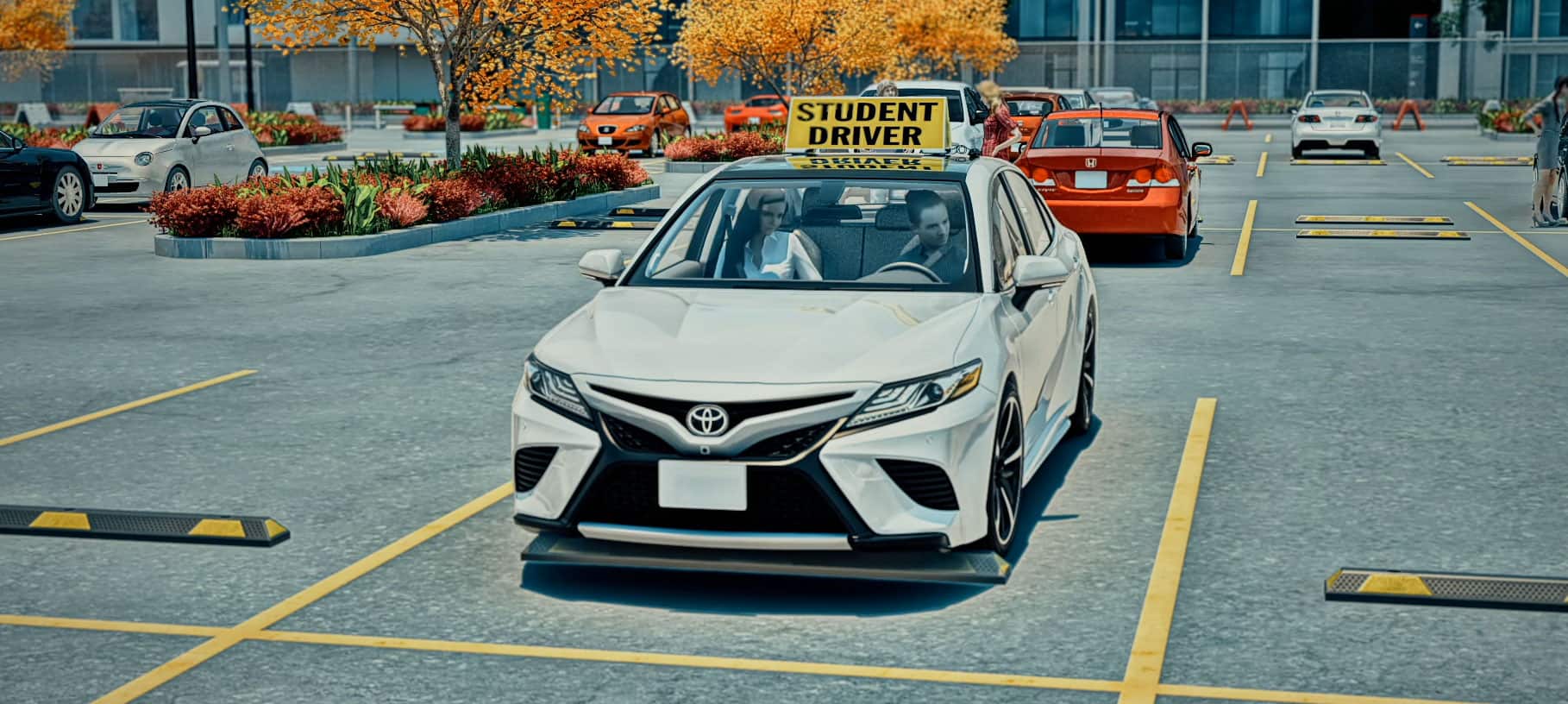 Courses Archive - Trubicars