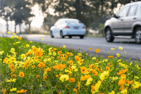 10 Driving Tips To Keep You Safe On The Road This Spring | Trubicars